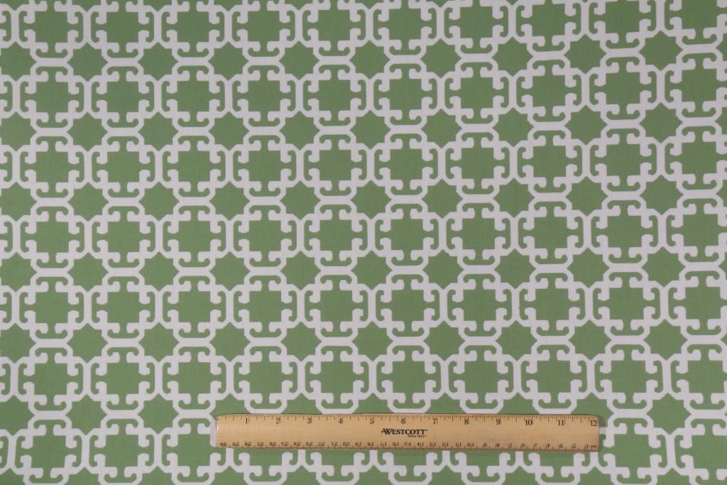 Robert Allen Monserrat Woven Cotton Upholstery Fabric in Palm