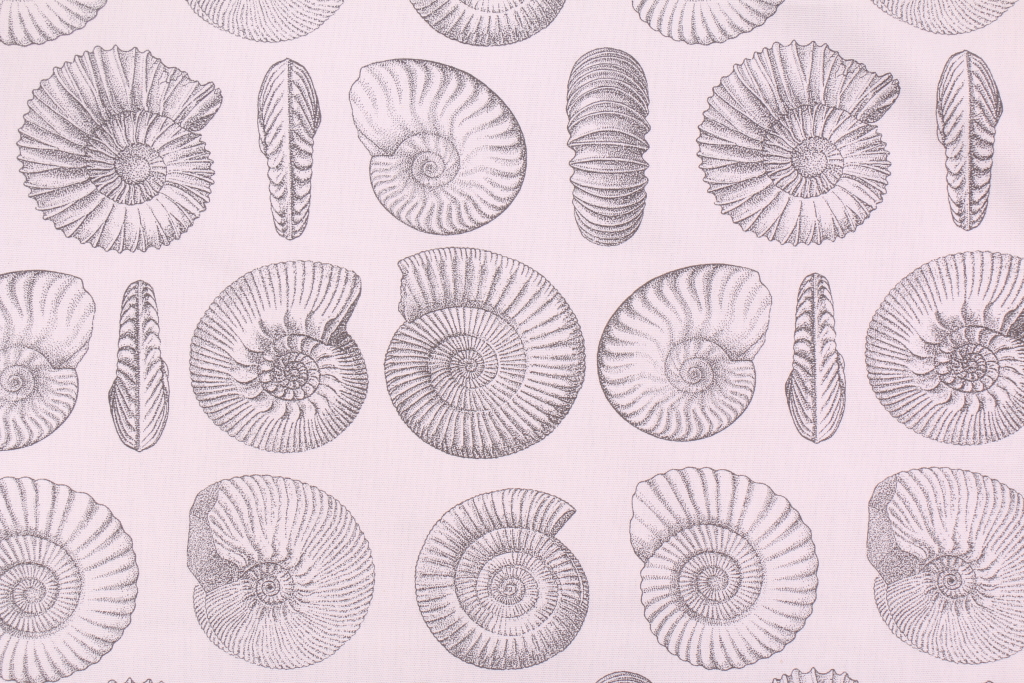 Waverly Nautilus Printed Cotton Drapery Fabric in Sail