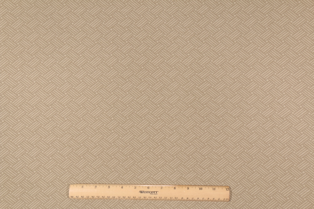 3.25 Yards Richloom Graph Printed Polyester Outdoor Fabric in Linen