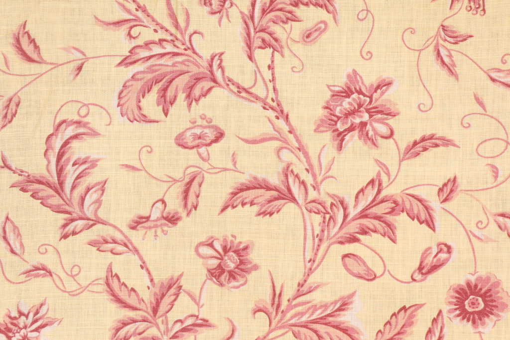 Scalamandre St Petersburg 2 Toile Printed Linen Drapery Fabric in ...