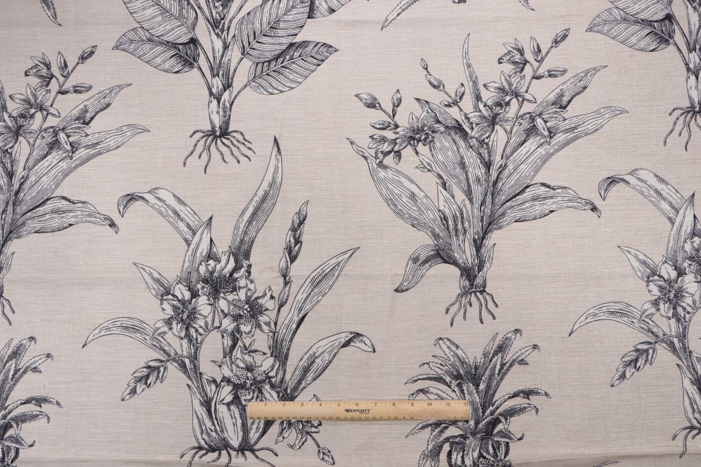 1 Yard Thibaut Tropical Toile F99805 Printed Drapery Fabric in Black on ...