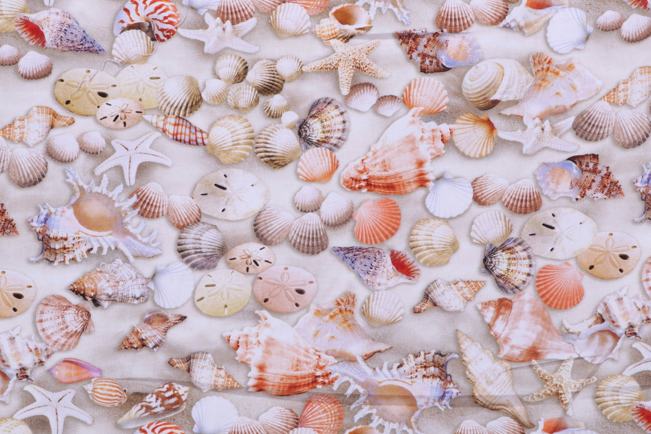 Timeless Treasures Beachcomber Shells Printed Cotton Craft Fabric in Multi