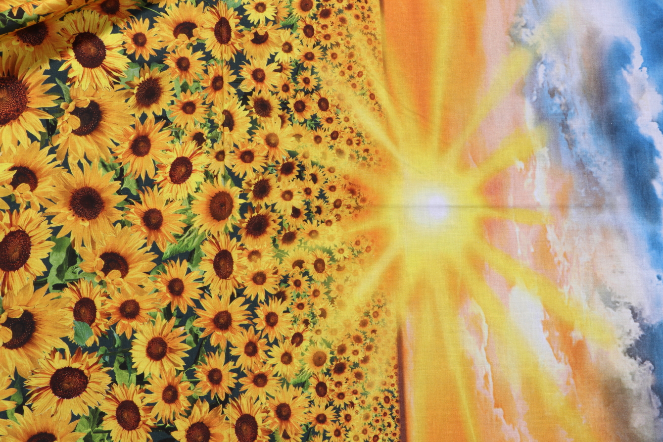 Timeless Treasures Sunflower Sunset Panel Printed Cotton Craft Fabric ...