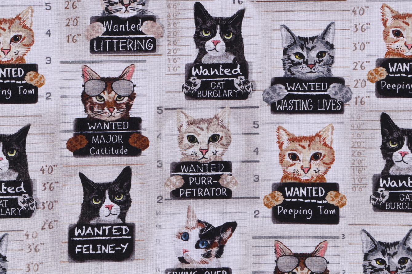 Gail Cadden Cat Mugshots Printed Cotton Craft Fabric in Beige for ...