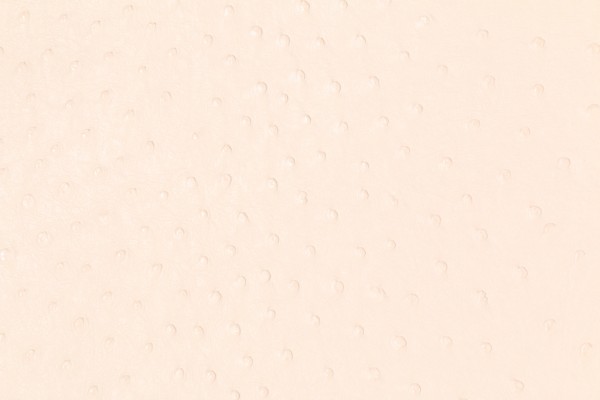 8.5 Yards Patterned Vinyl Upholstery Fabric in Cream