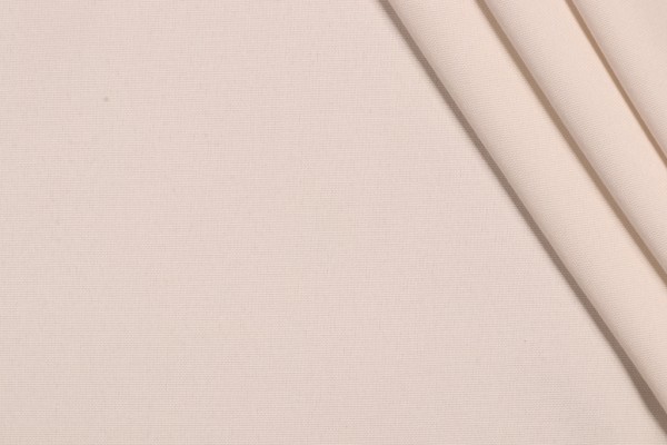 Richloom Veranda Woven Polyester Outdoor Fabric in Cream