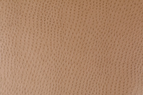 Vinyl Upholstery Fabric in Tan
