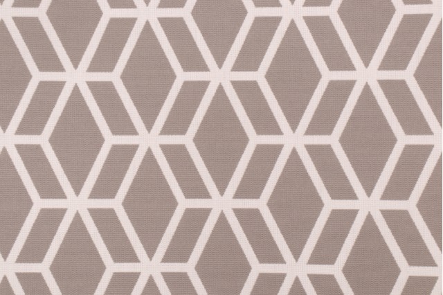 Designer Fabric :: Tempotest